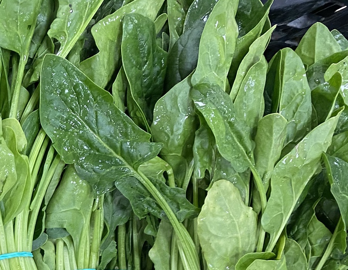 HOJA DE ESPINACA 100 GRAMOS